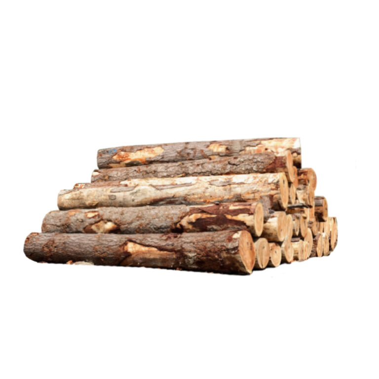 Mp Lumber - European Wood - MP Lumber - Certified European Wood Distributor
